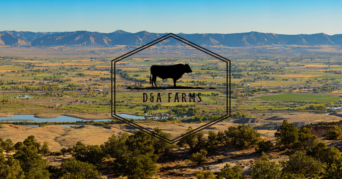 Premium Beef Bundles – D & A Farms Natural Beef